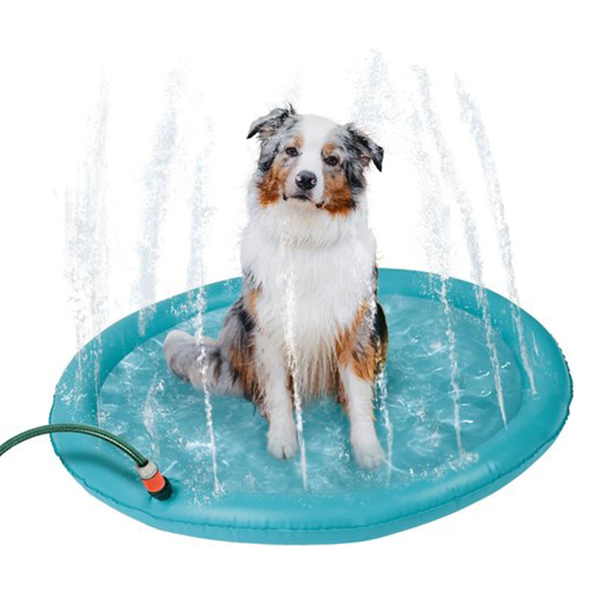 Dog Water Play Mat – All Brands Factory Outlet